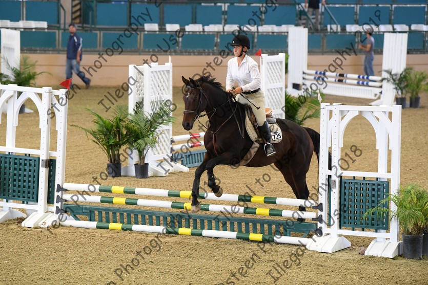 GSDHJA Championship 2018 - Crossrail - Horse Show Proofs - 2018 - www ...