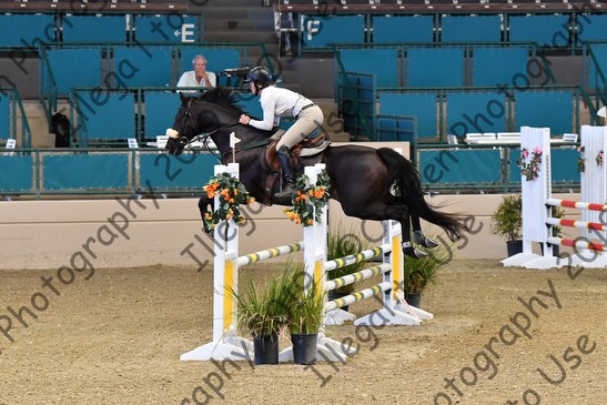 GSDHJA Championship 2019 - Horse Show Proofs - 2019 - www ...