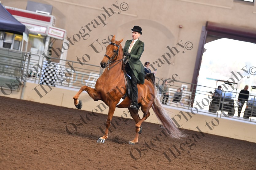 Charity Fair 2021 - ASB - Park - Horse Show Proofs - 2021 - www ...