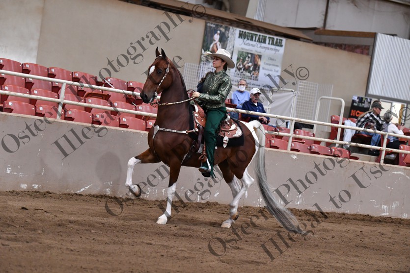 NWSA Fall Classic 2022 - Horse Show Proofs - 2022 - www ...
