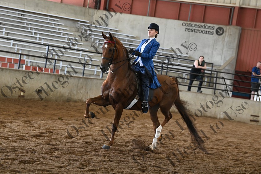 ASAW 2025 - Horse Show Proofs - 2025 - www.rickosteenphotography.com