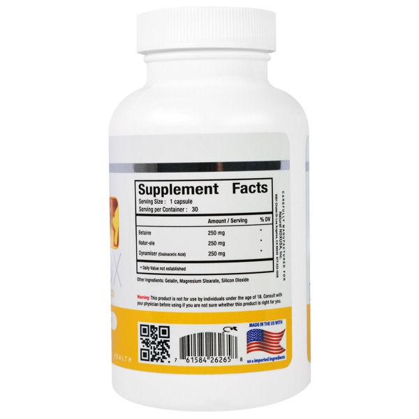 Natural Dynamix Endure DX Perpetual Energy - 1Source