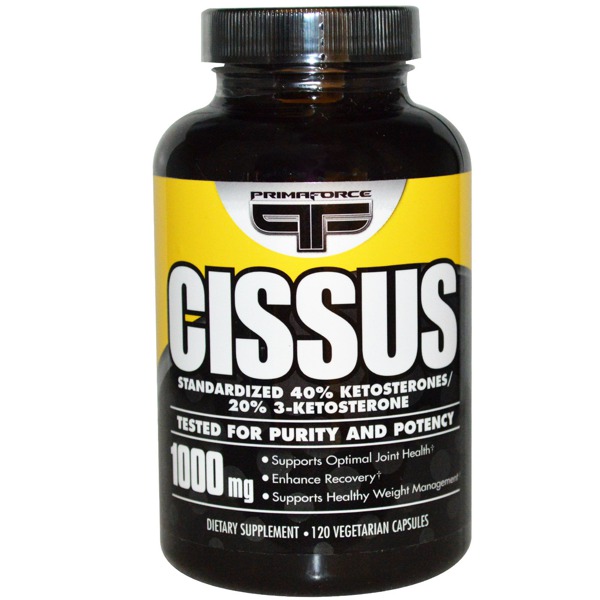 Primaforce Cissus 1000 Mg - 1Source