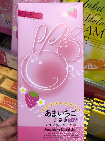 Suzuki Eikodo Amaichigo Usagi Chan Strawberry Cake - 1Source