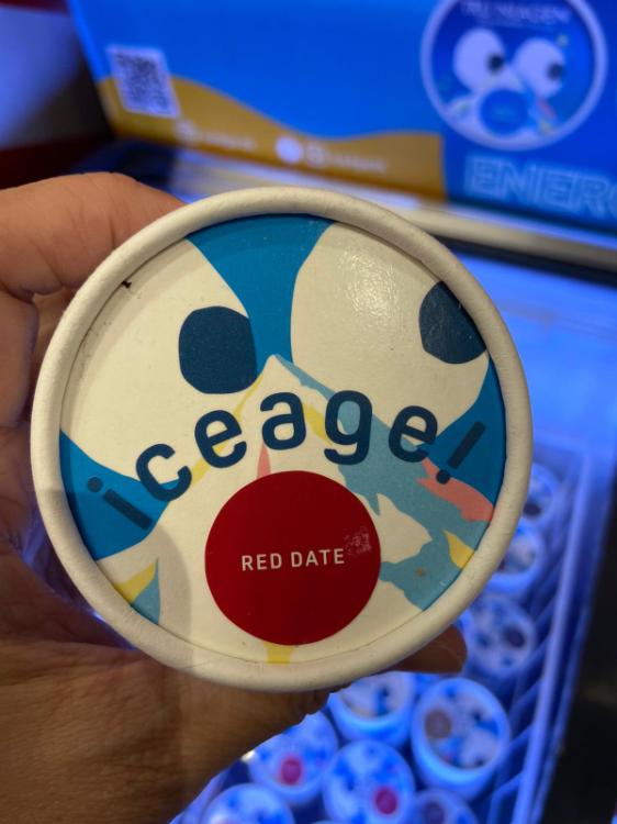 Ice Age! Animal Free Dairy Frozen Dessert Red Date Flavor (Limited ...