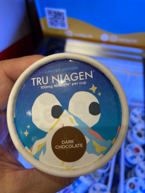 Ice Age! Animal Free Dairy Frozen Dessert Dark Chocolate With Tru ...