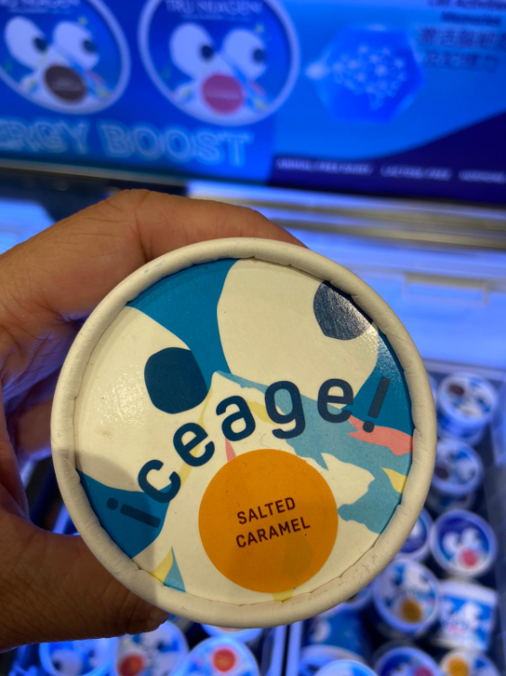 Ice Age! Aniamal Free Dairy Frozen Dessert Salted Caramel Flavor - 1Source
