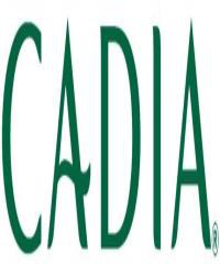 Cadia All Natural Coconut Italian Gelato - 1Source