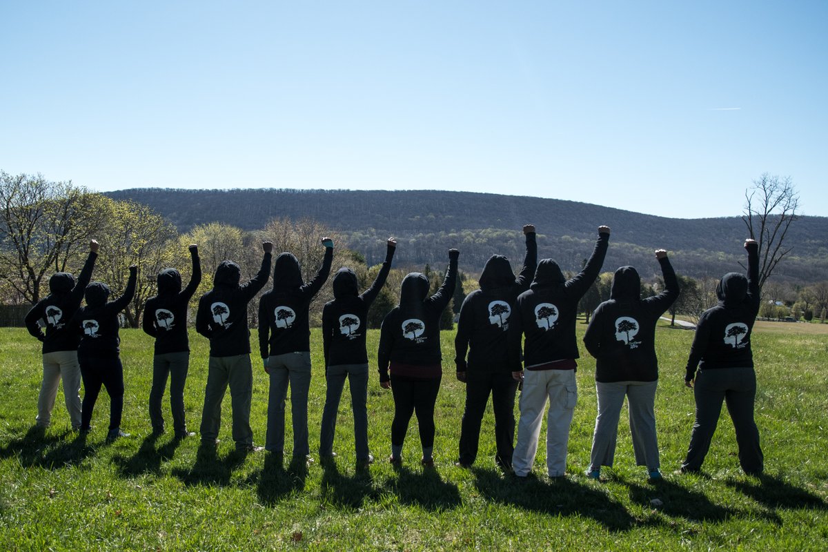 4 Black Environmental Orgs You Should Know About - Blavity