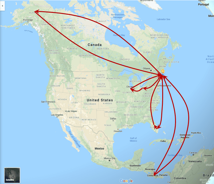 I'll Sleep When I'm Dead - Accendo Reliability