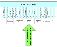 Differences between Proactive Maintenance and Plant Wellness Reliability