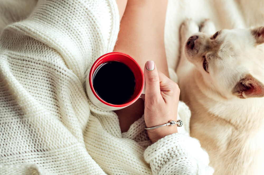 Dog Cafes Are The Latest Trend In Los Angeles Cool Or Cruel dog-cafes-are-the-latest-trend-in-los-angeles-cool-or-cruel