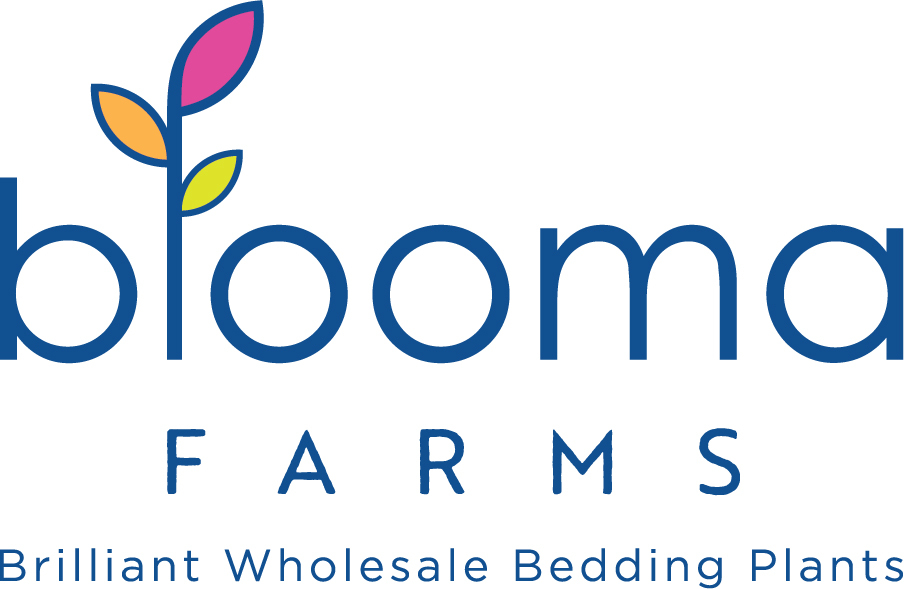 Log in - My ASP.NET MVC Application