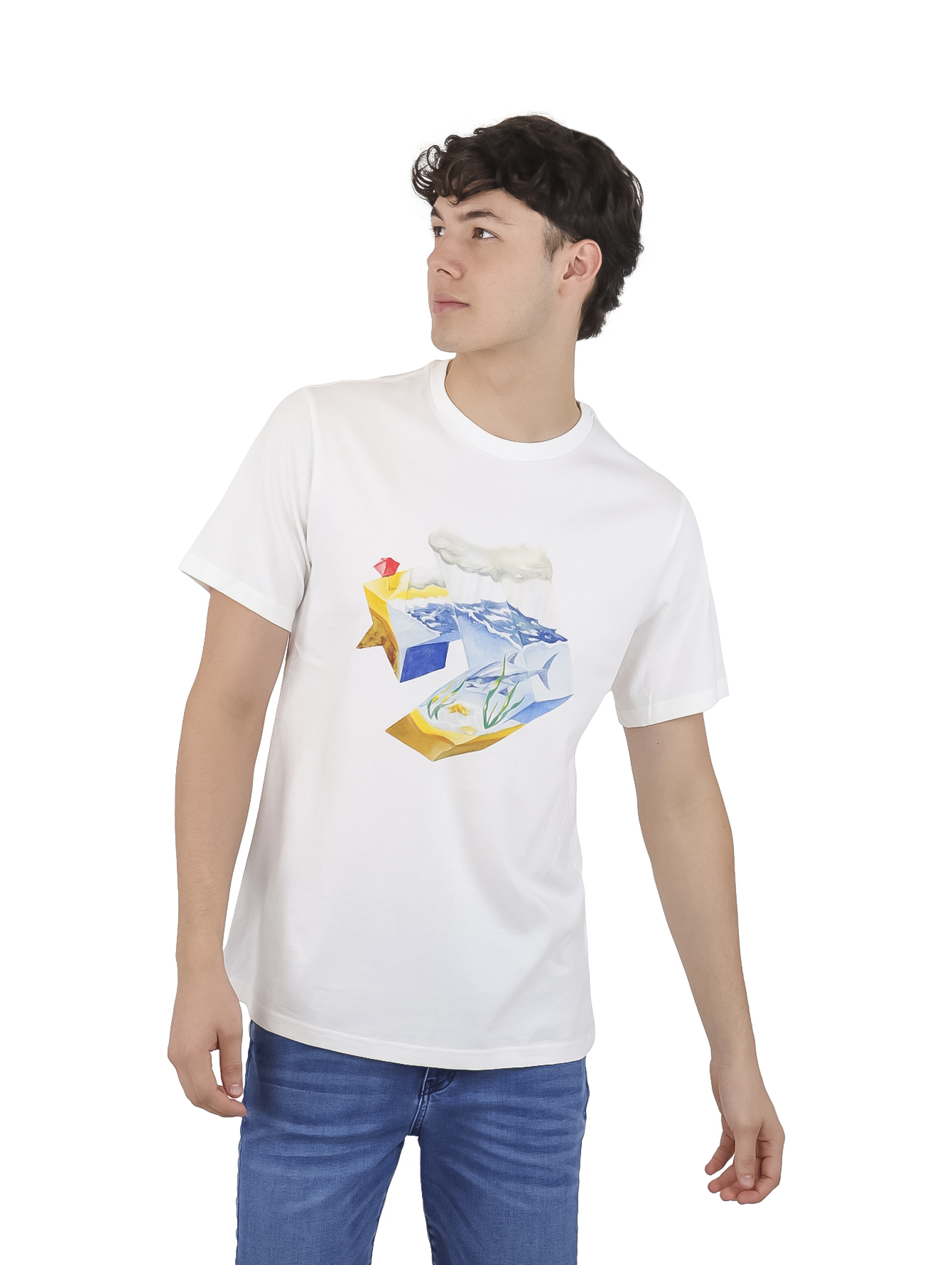 Camisas De Chevron Para Hombre