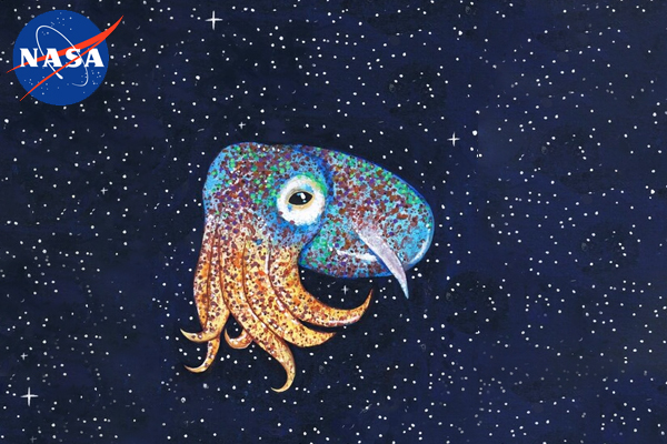 La NASA y Space X llevarán calamares bebés y osos de agua al espacio