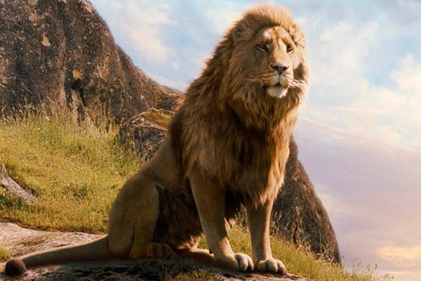 Sí existe Narnia y está en México, así puedes visitarlo