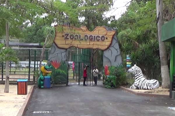 Zoológico de Mérida cuenta con nueva imagen