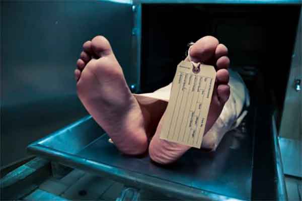 ¿Sabes que le sucede al cuerpo humano cuando muere?