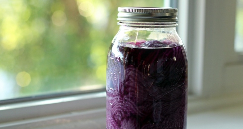 "Rhapsody In Red" Midday Cleansing Juice - Dherbs Recipes