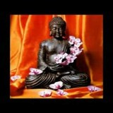 Dherbs - Herbal Supplements, Herbal Remedies, Natural Healing Remedies ...