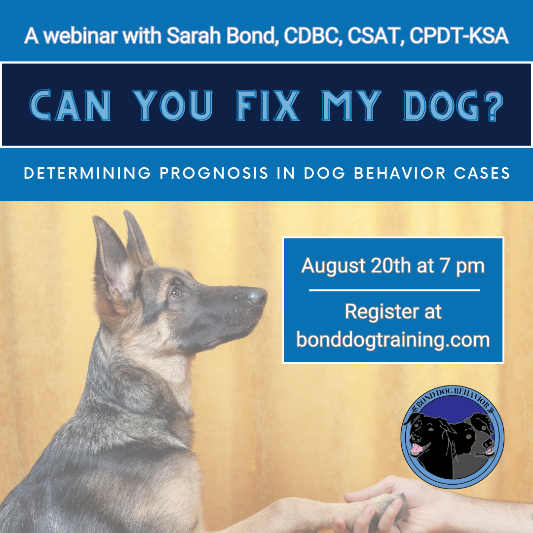 Schedule Bond Dog Training