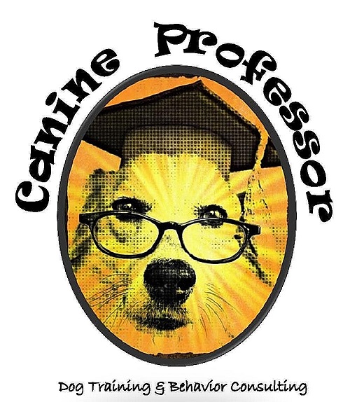 Schedule Canine Professor