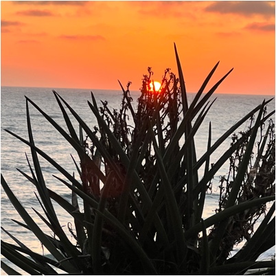 Schedule Anna Neimark, Energetic Engineer