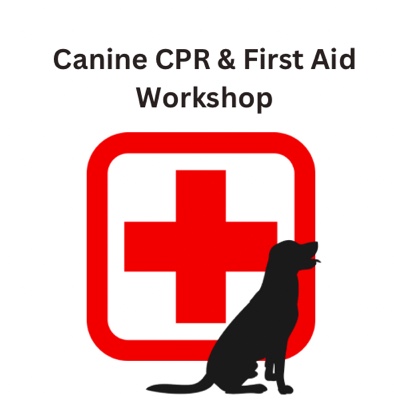 Schedule Cohesive Canine LLC