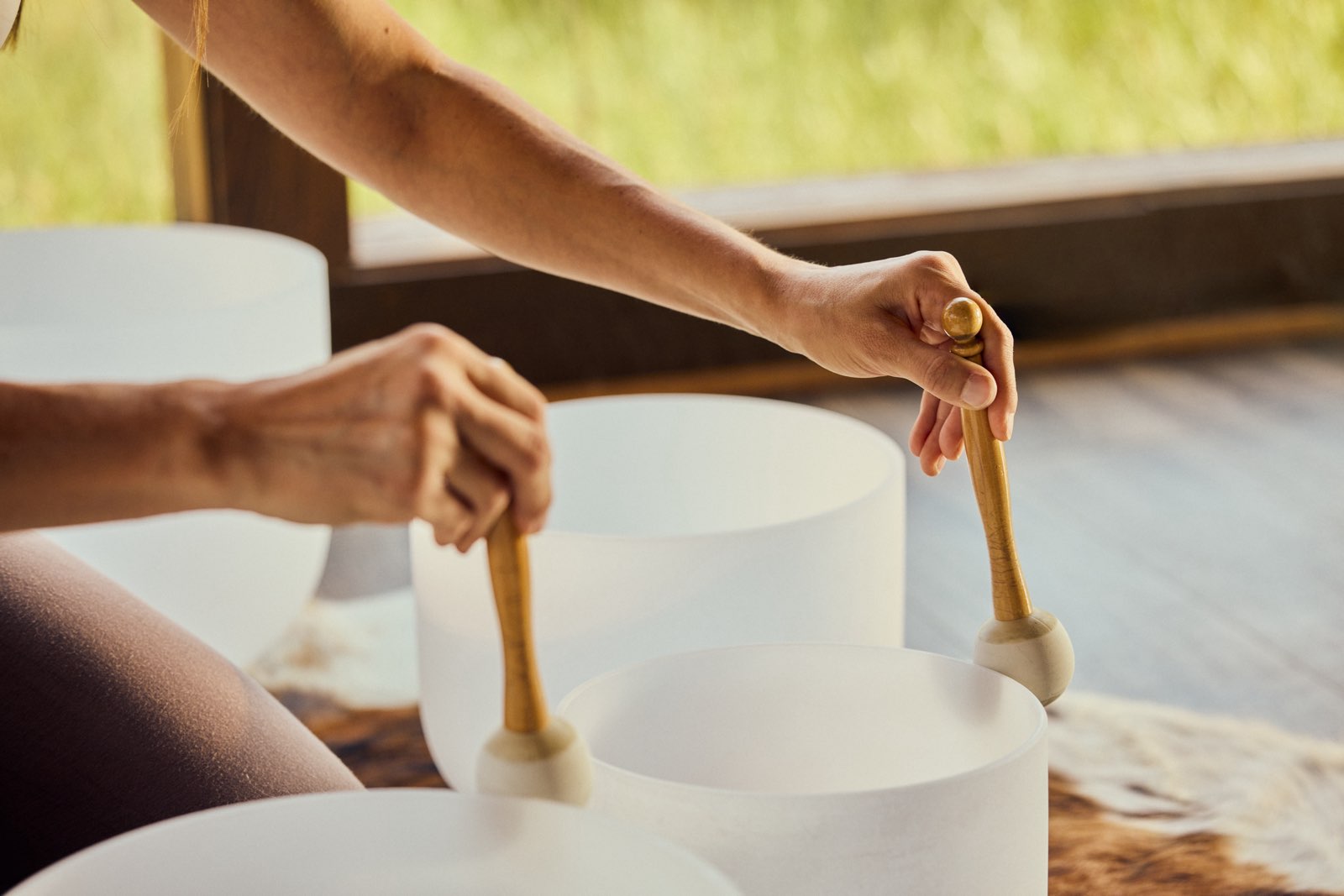 Schedule Willow Moon Movement