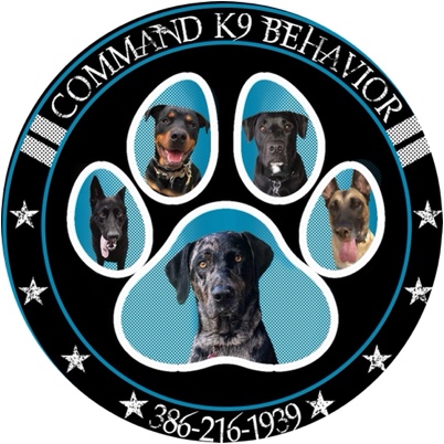 Schedule Command K9 Behavior
