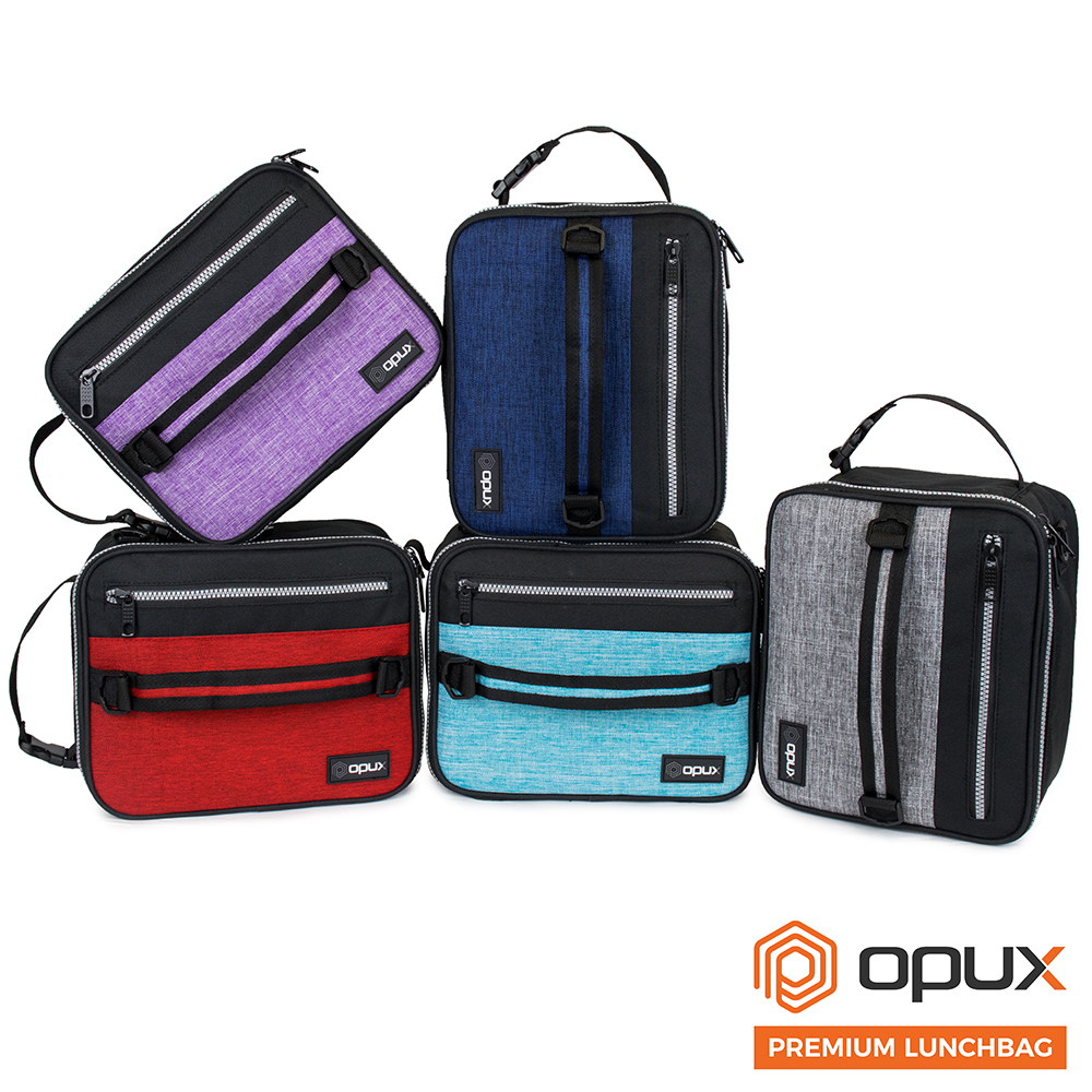 Insulated Lunch Bag Adult Small Lunch Box For Work Office School Men ...