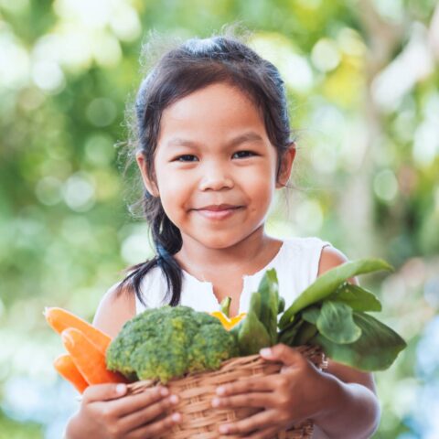 Program Services - CocoKids