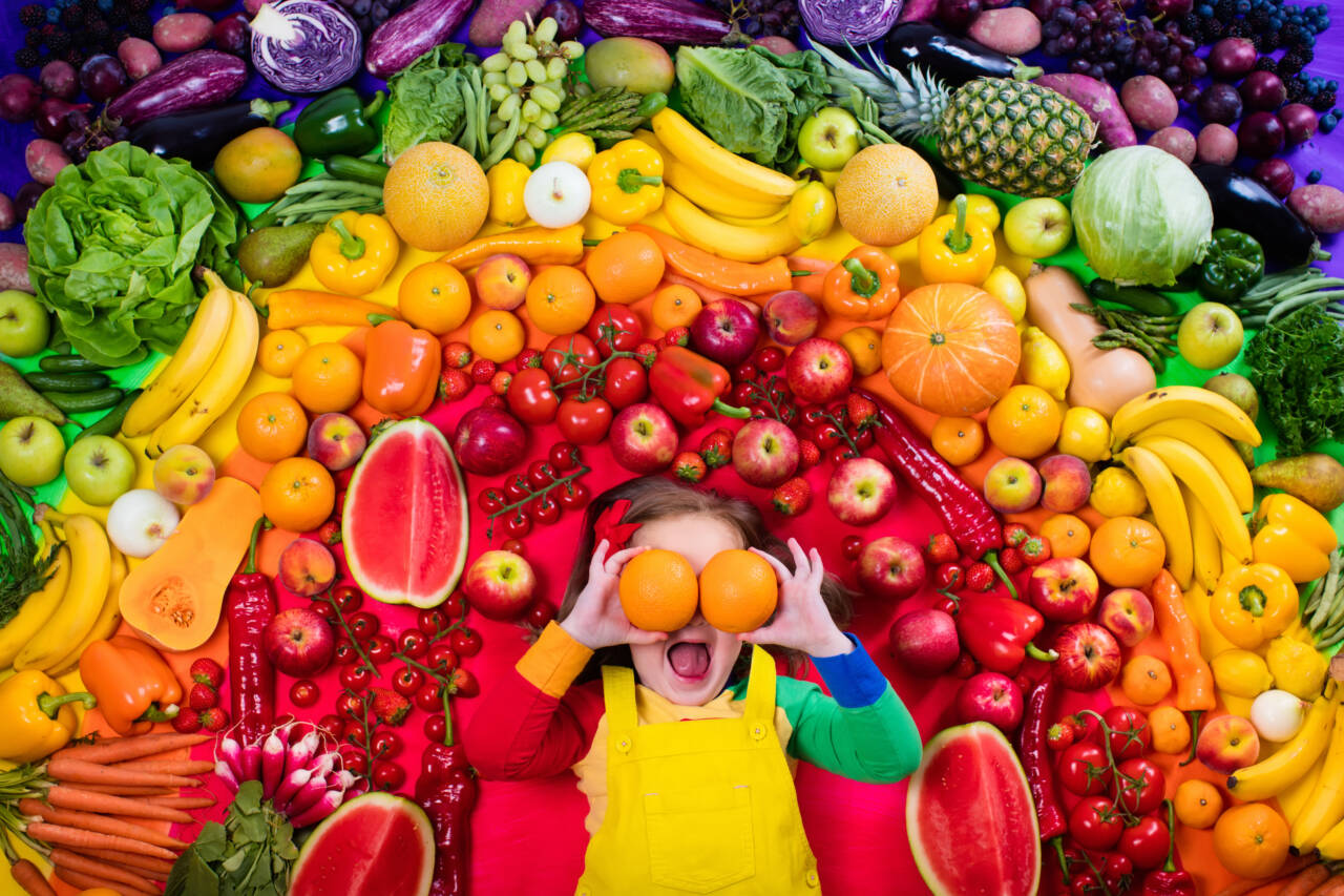 CocoKids Contra Costa County Child Care Resource and Referral Services