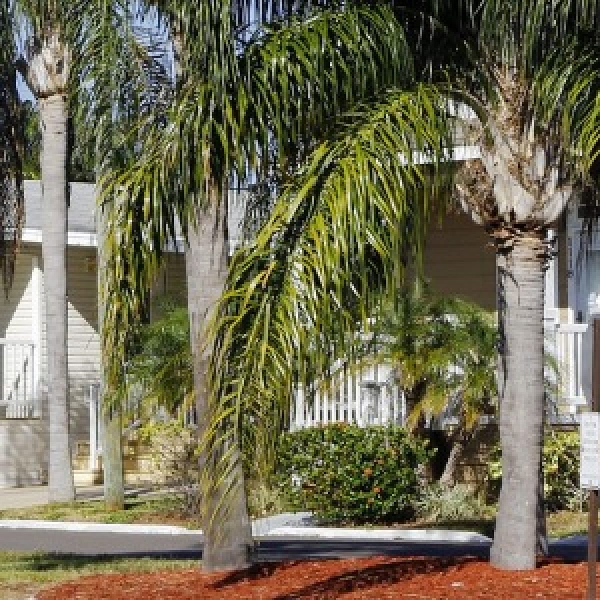 Manufactured Homes Southern California Company Promotes Prefab Homes