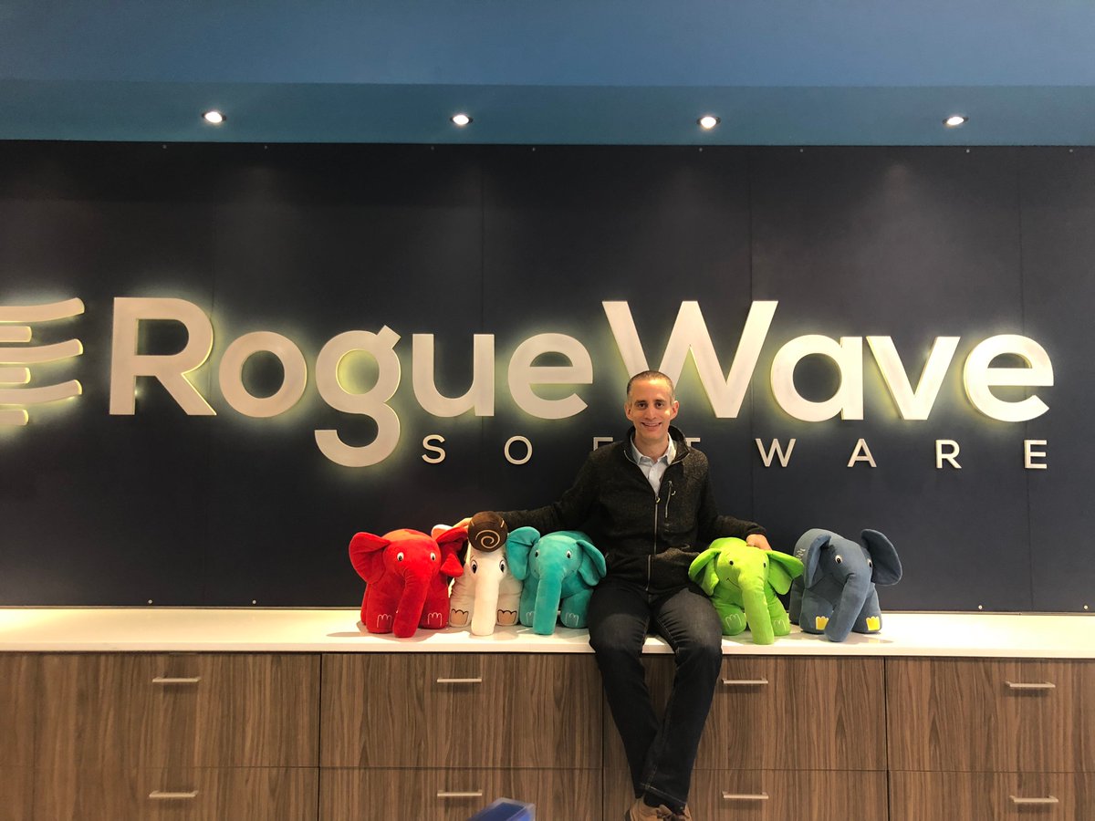 Rogue Wave Software Culture | Comparably