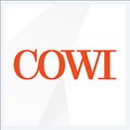 COWI Culture | Comparably