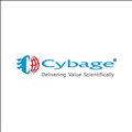 Cybage Culture | Comparably