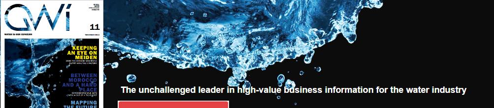 Global Water Intelligence Culture | Comparably