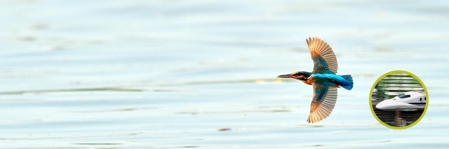 Biomimicry 3.8 Culture | Comparably