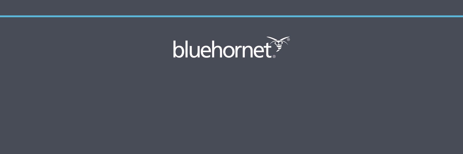 BlueHornet Culture | Comparably