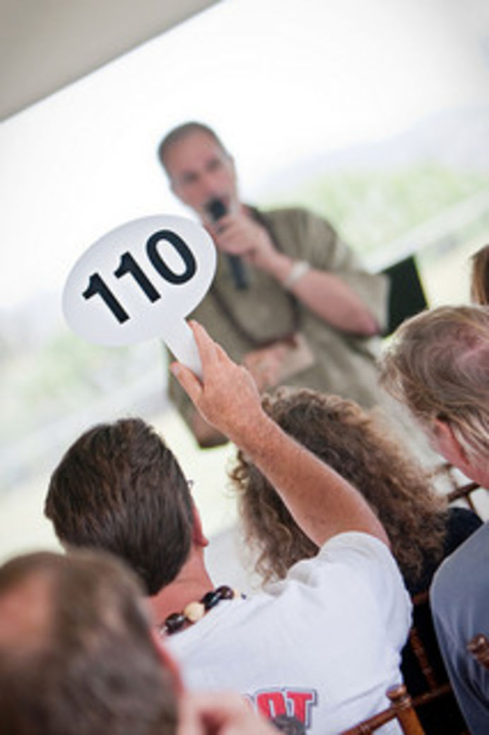 Bidding and Winning at House Auctions | Concierge Auctions