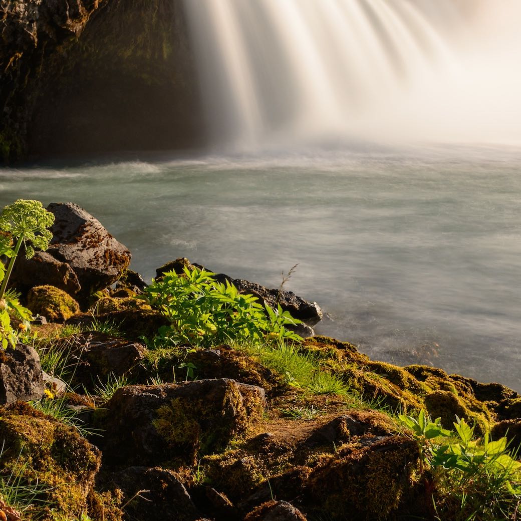 Download error · Issue #809 · onevcat/Kingfisher · GitHub