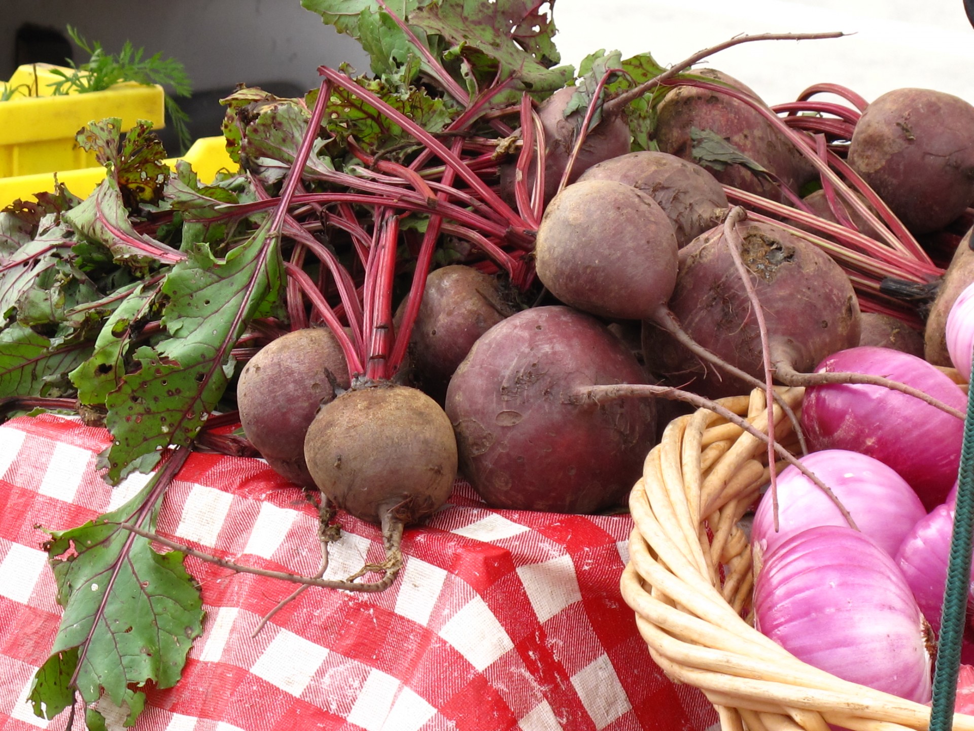 Beet Seeds & Planting Guide