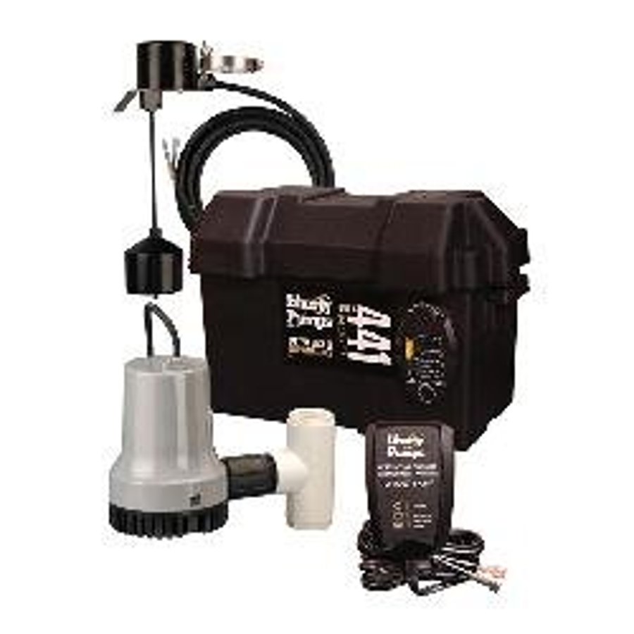 Pace Supply | Automatic Sump Pump, 1/3 hp, 120 VAC, 1 ph