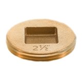 PACE Supply | Countersunk Square Tapped Cleanout Plug, 2-1/2 in, 1/4-20 ...