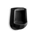 PACE Supply | Freshman™ Flat Back Urinal, ADA, Rear Spud, 1 gpf, Black ...