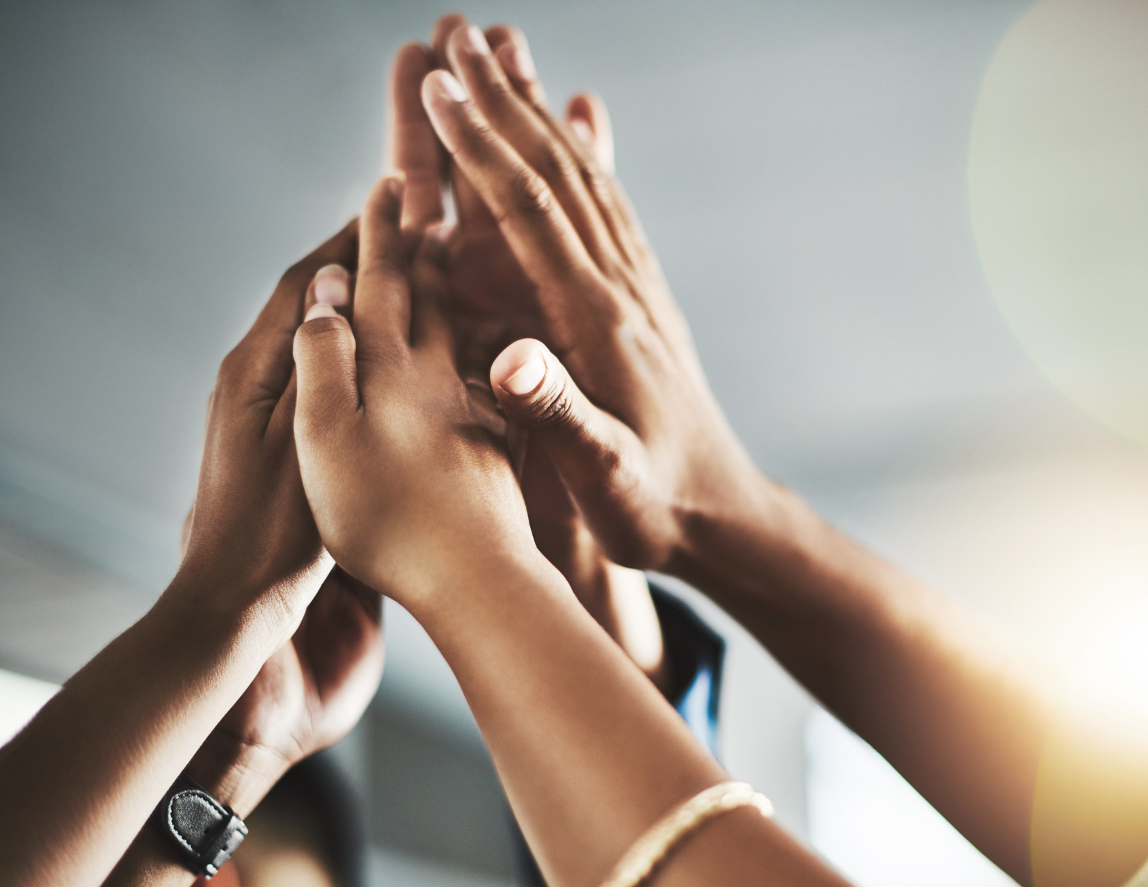 Employee Milestones: October-December 2024 | News & Updates | Together ...