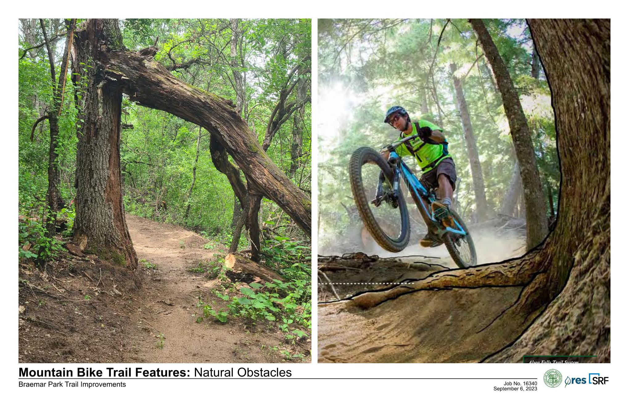 Braemar Park Master Plan Implementation | Better Together Edina