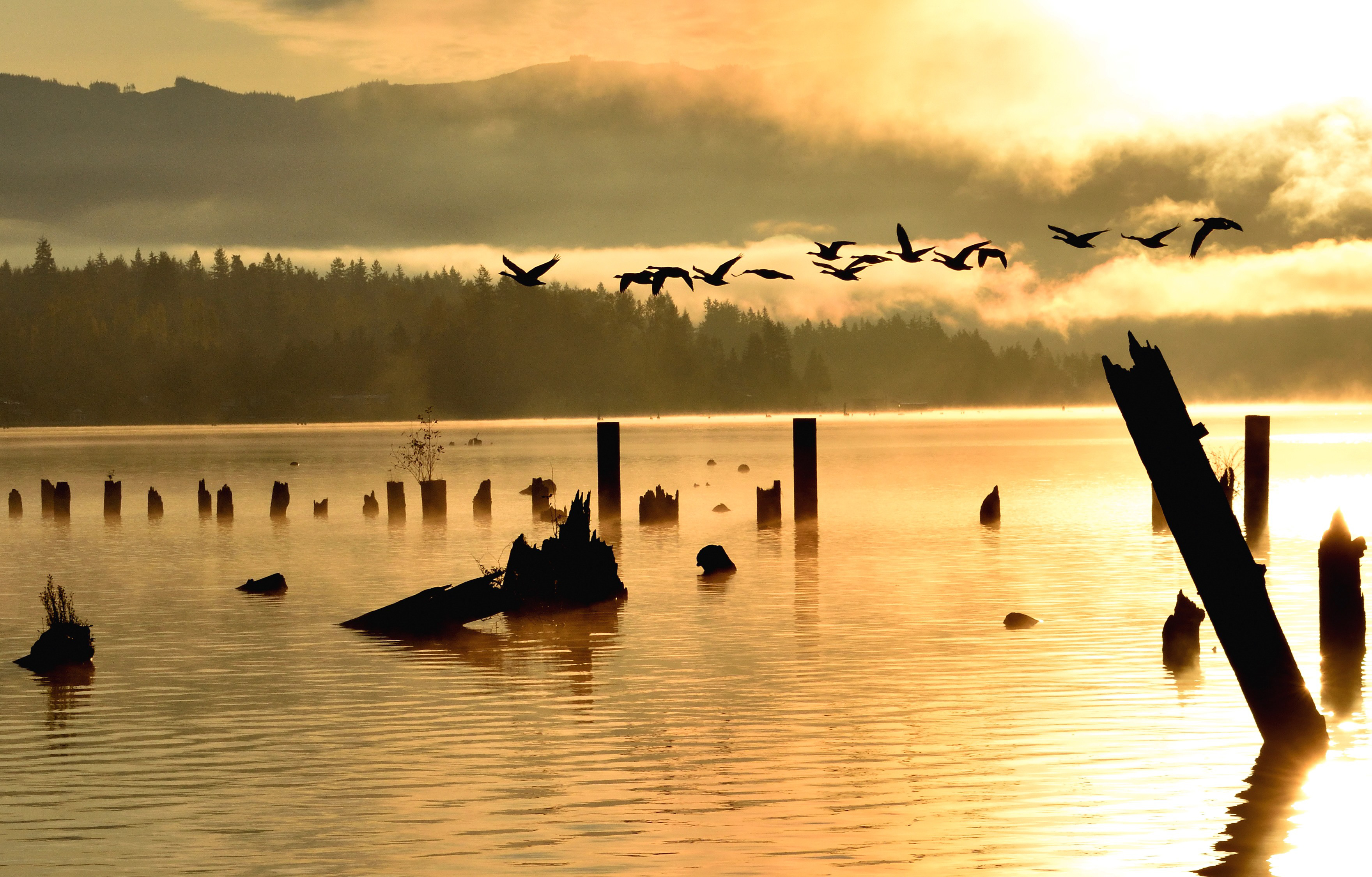 Measure 4: Continue high-water use notification program | Water ...