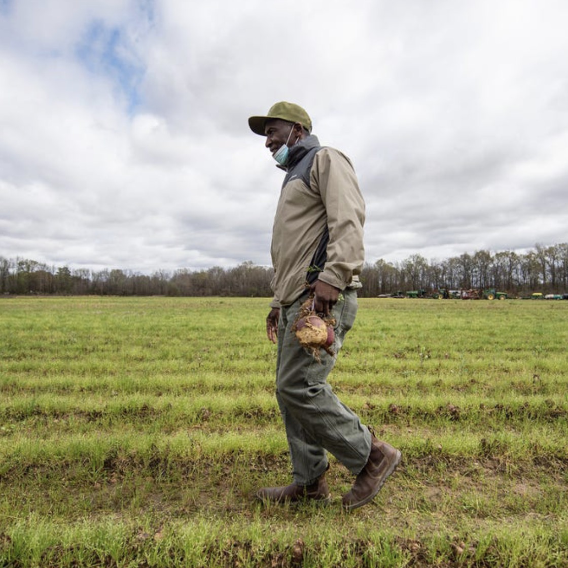 Solutions for Minnesota | Goal 2: Climate-smart natural and working ...